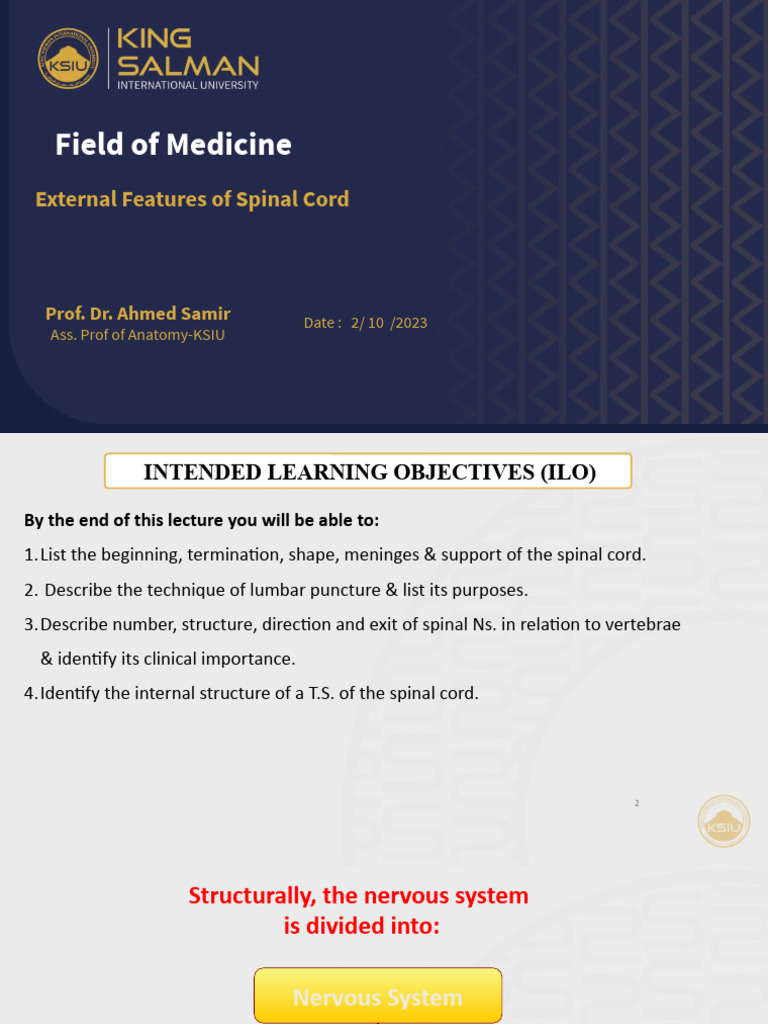 1-External Features of Spinal Cord | PDF | Spinal Cord | Vertebral Column
