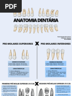 Anatomia Interna do Dente 46 | PDF | Dente humano | Áreas da odontologia