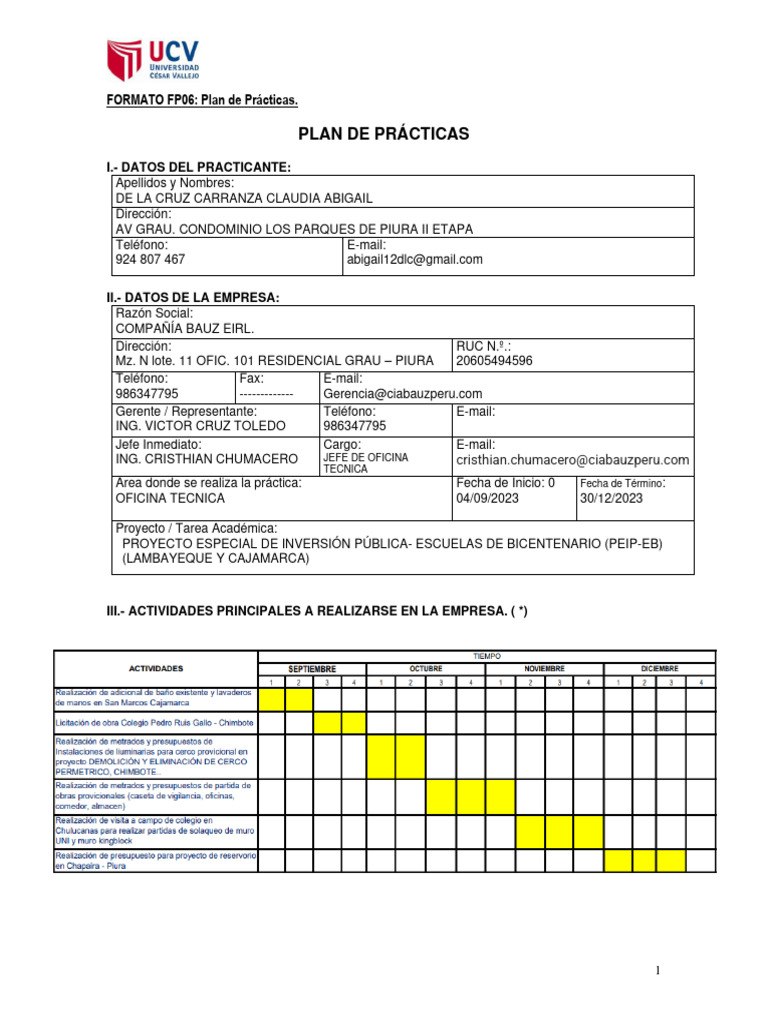 Formato de Practicas 06 - PLAN DE PRACTICAS | PDF