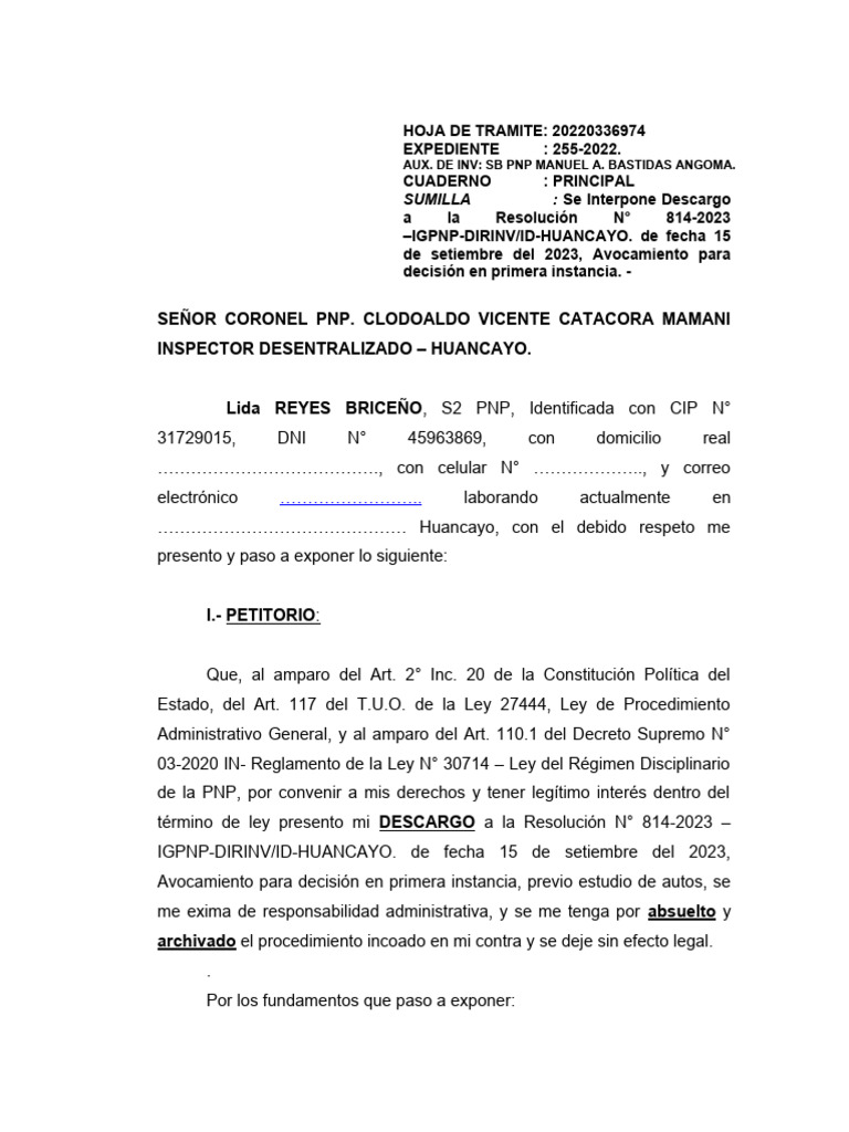 Descargo Lidia Reyes | PDF