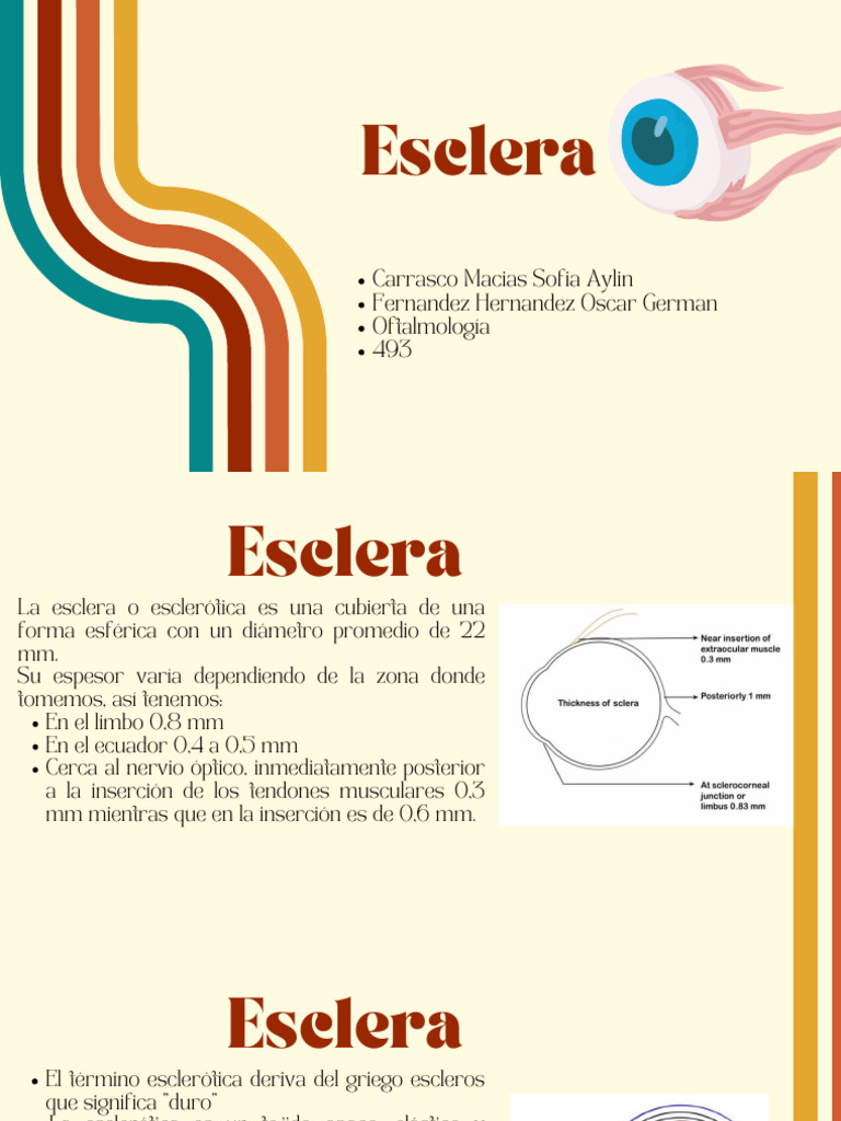 Esclera y Sus Patologias | PDF