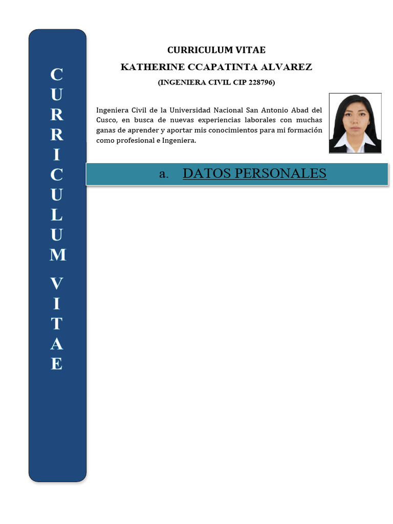 Curriculum-Vitae CIVIL 2023 | PDF | Microsoft Office | Software multiplataforma