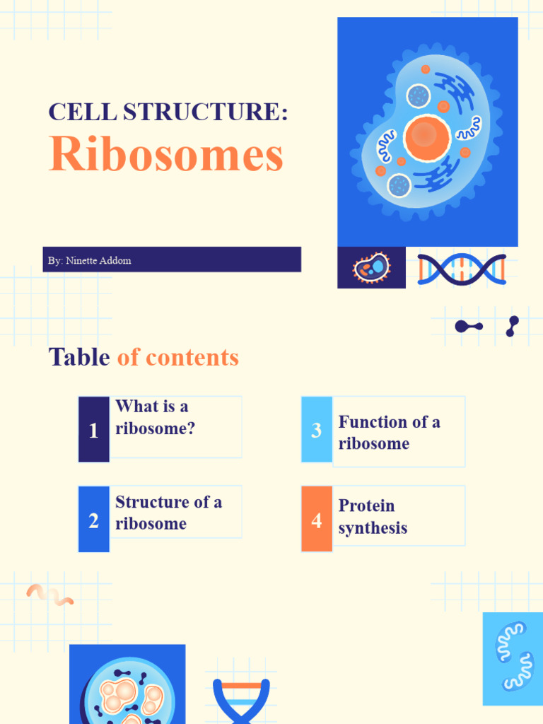Ribosomes | PDF | Ribosome | Translation (Biology)