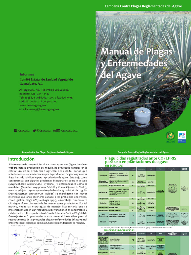 Manual Agave 2017 | PDF