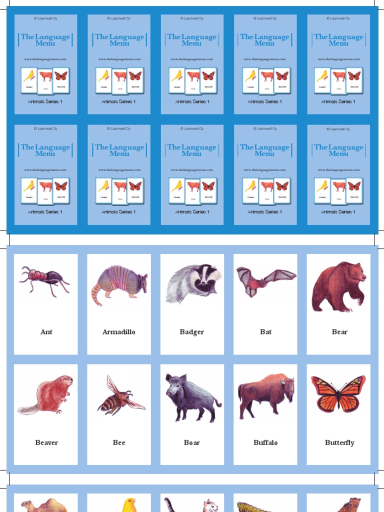 Flash Cards Animals 1 English | PDF