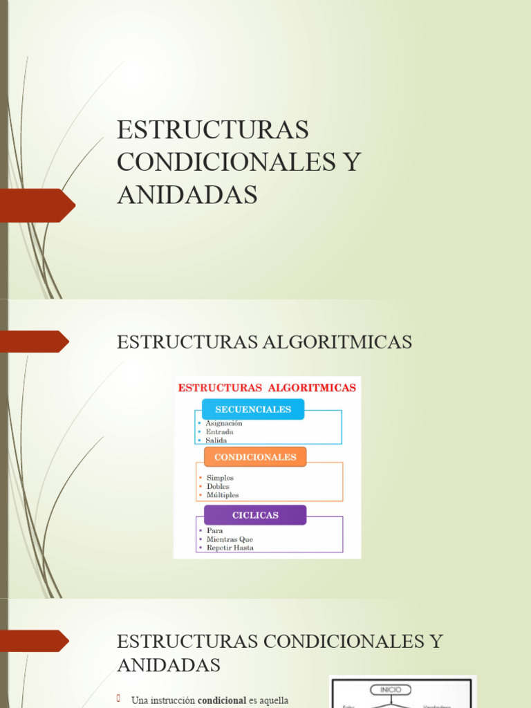 Estructuras Condicionales y Anidadas | PDF | Negocios