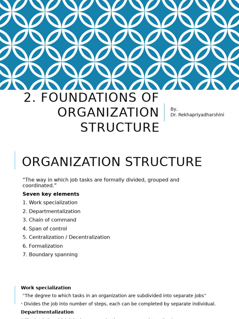Foundations of Organization Structure | PDF