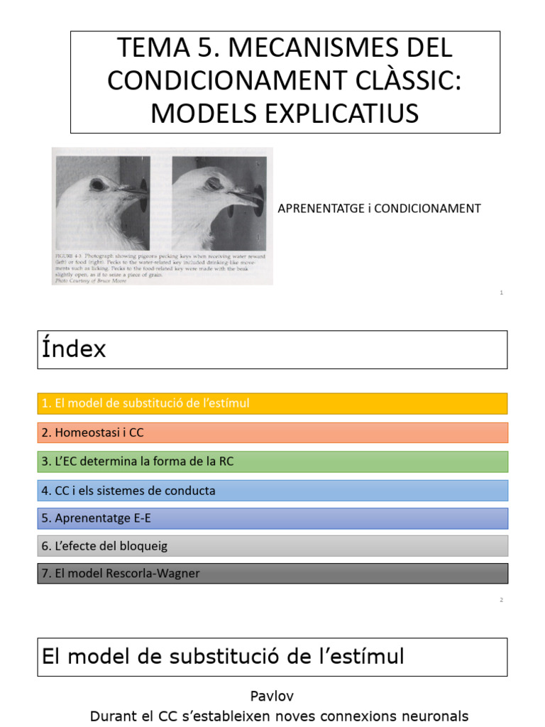 Tema5 - Models Explicatius - CC | PDF
