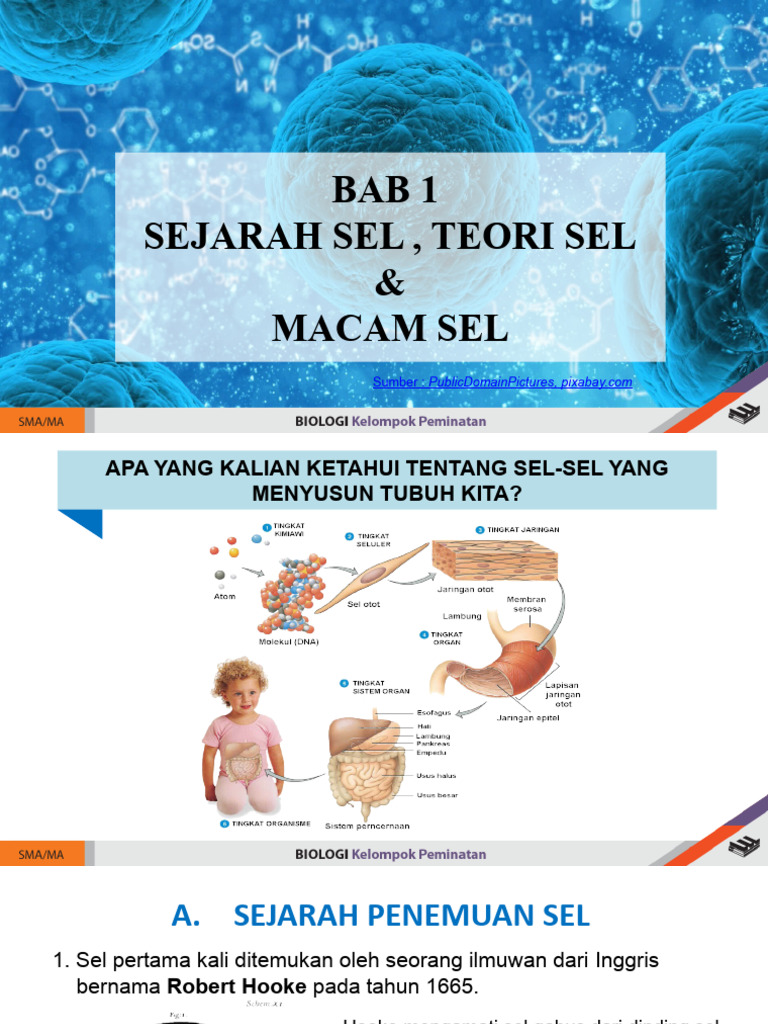 1a Sel Sejarah Sel Pdf