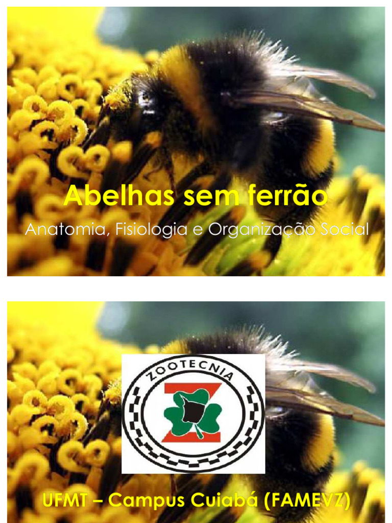 Abelhas Sem Ferrao | PDF