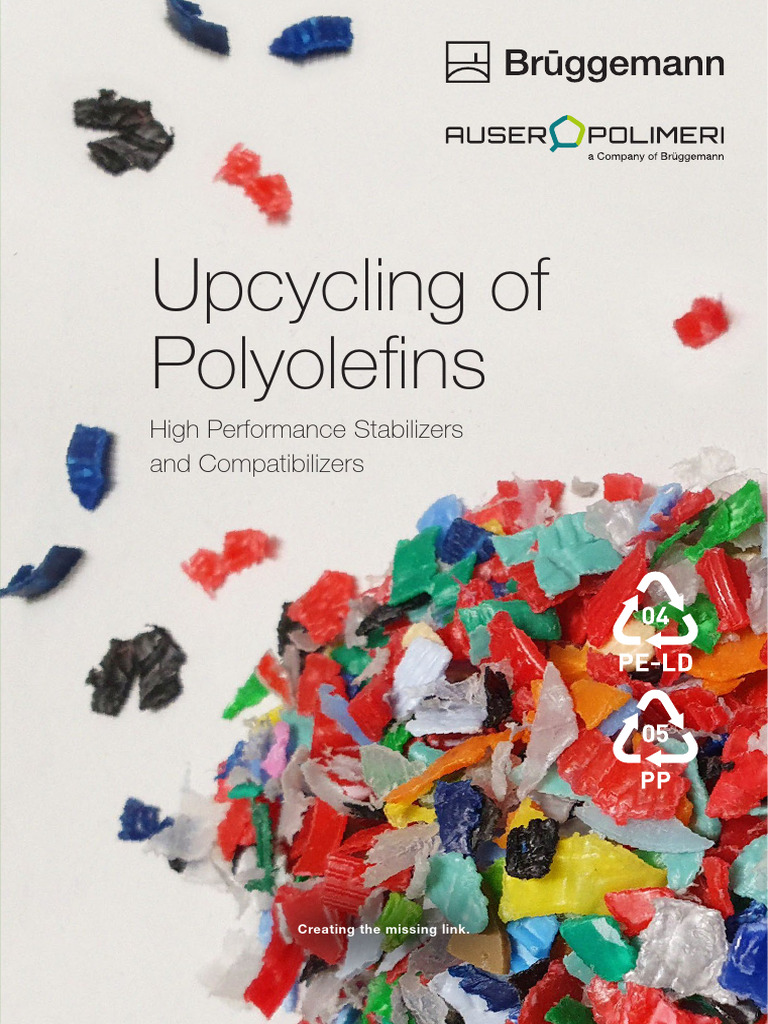 Brueggemann Upcycling Polyolefins Brochure 2022 en | PDF | Technology ...