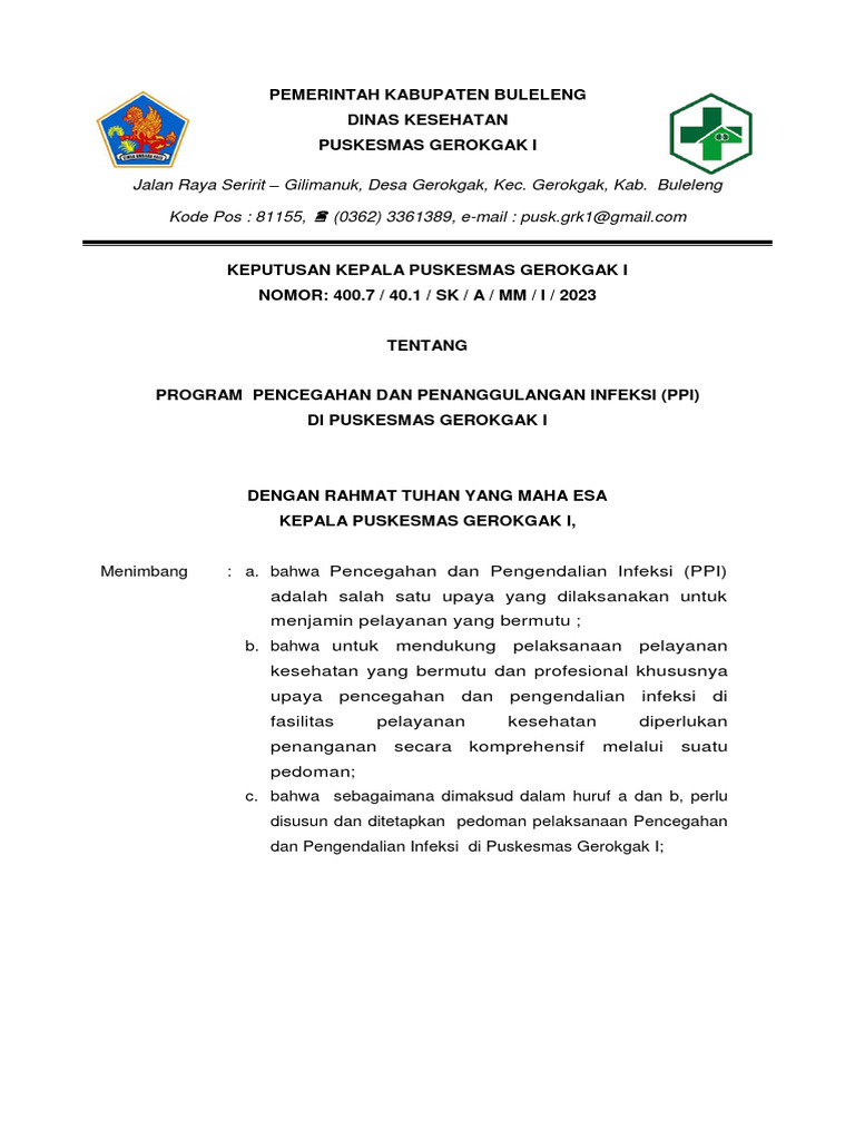 SK Program Ppi (Pedoman Ppi) | PDF