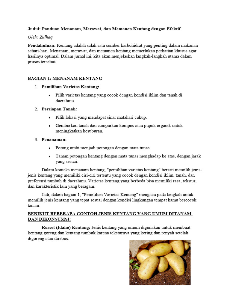 Jurnal Singkat Kentang | PDF