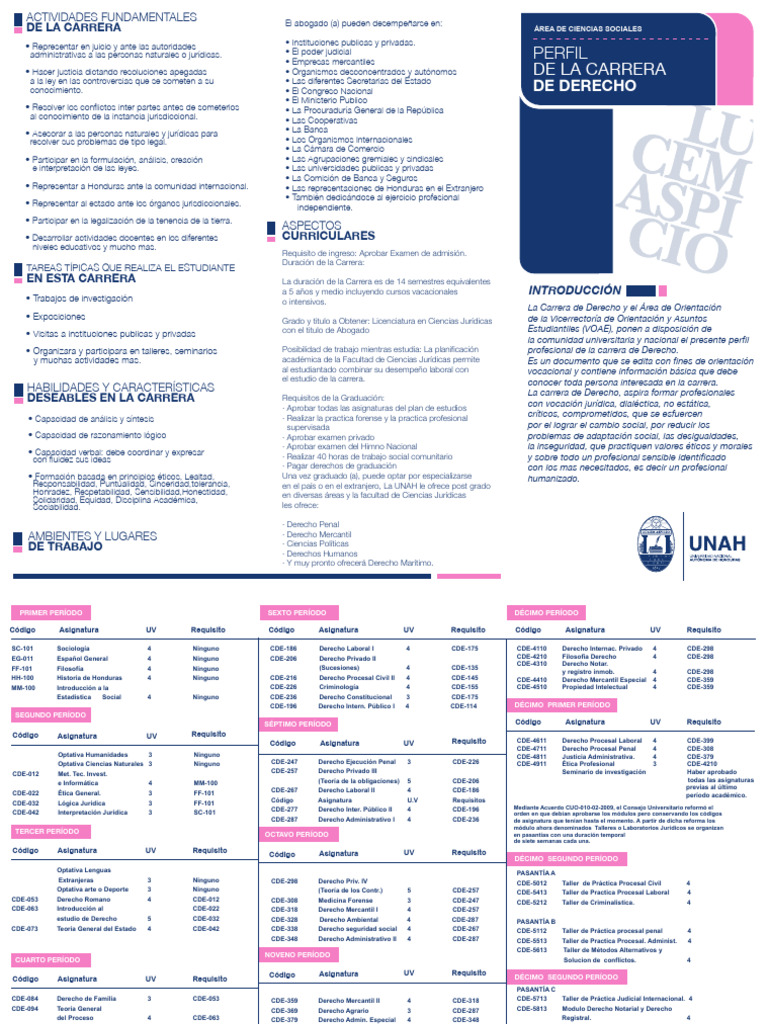 PLAN-DE-ESTUDIOS-DERECHO | PDF | Ley procesal | Derecho laboral