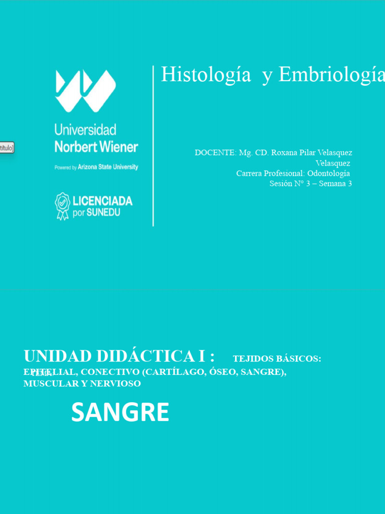 clase-3-sangre-2023-ii-velasquez-pdf