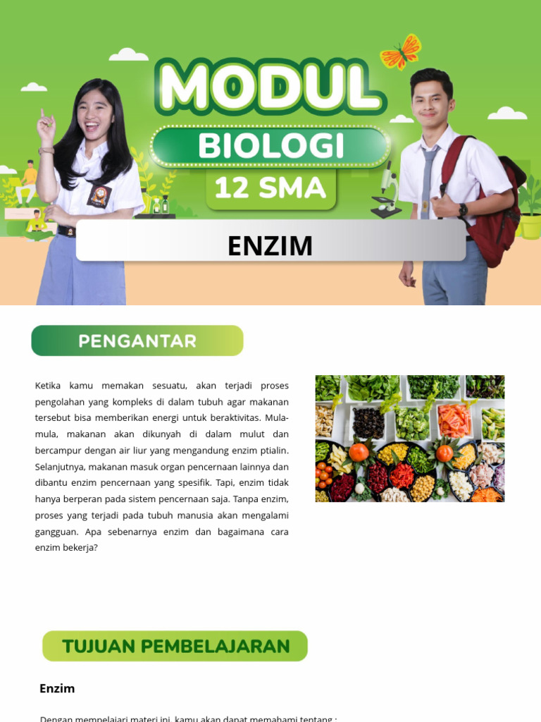 Biologi 12 SMA Enzim | PDF