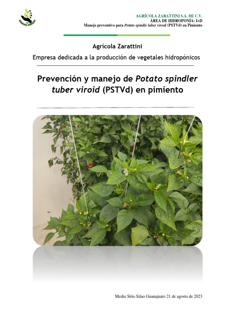 PROTOCOLO PREVENTIVO PARA EL MANEJO DE Potato Spindler Tuber Viroid | PDF