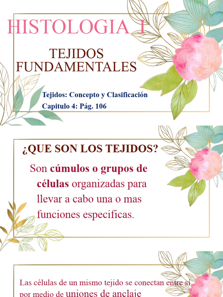 3 - Generalidades Tejidos Basicos | PDF