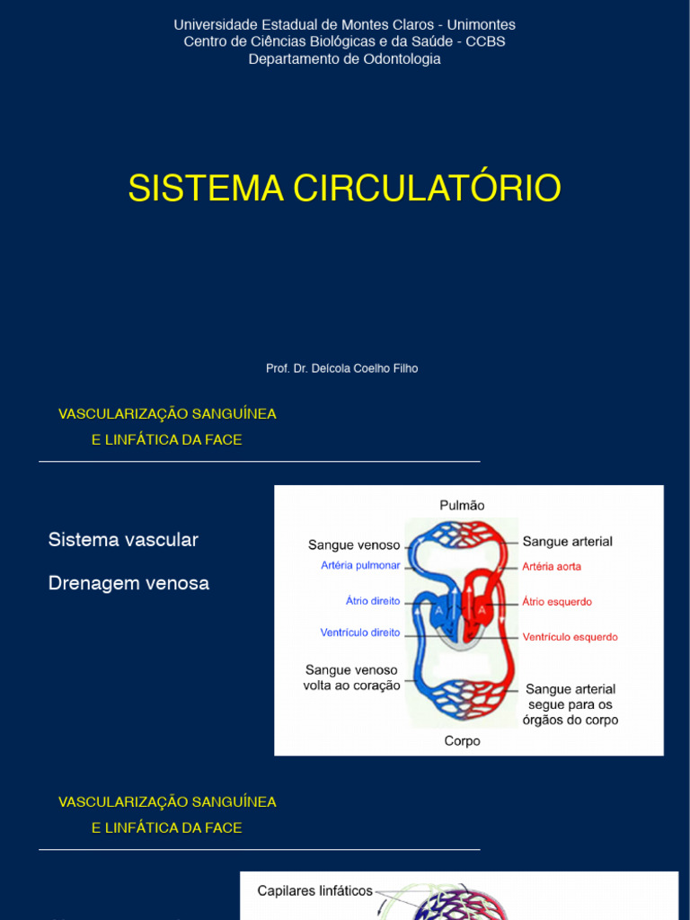 Sistema Circulatório | PDF