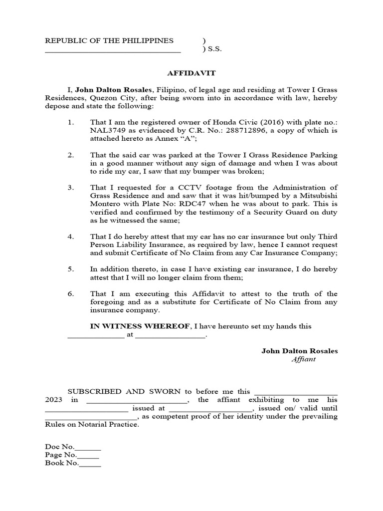 Affidavit of No Claim | PDF