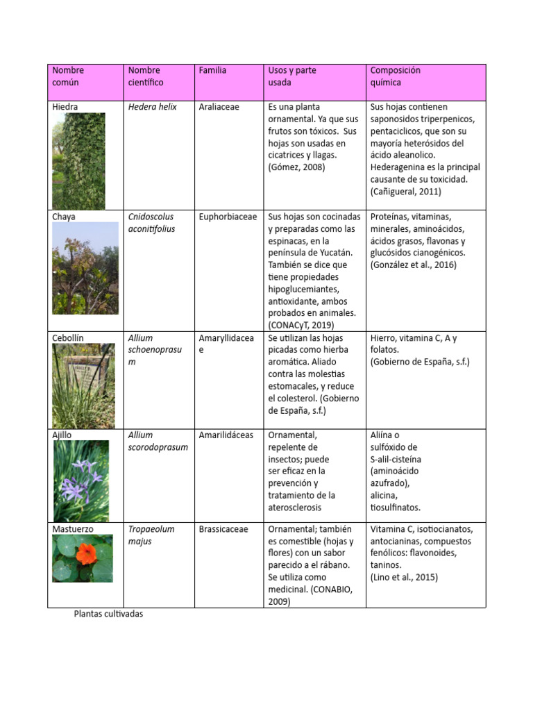 Cultivadas Yoss | PDF