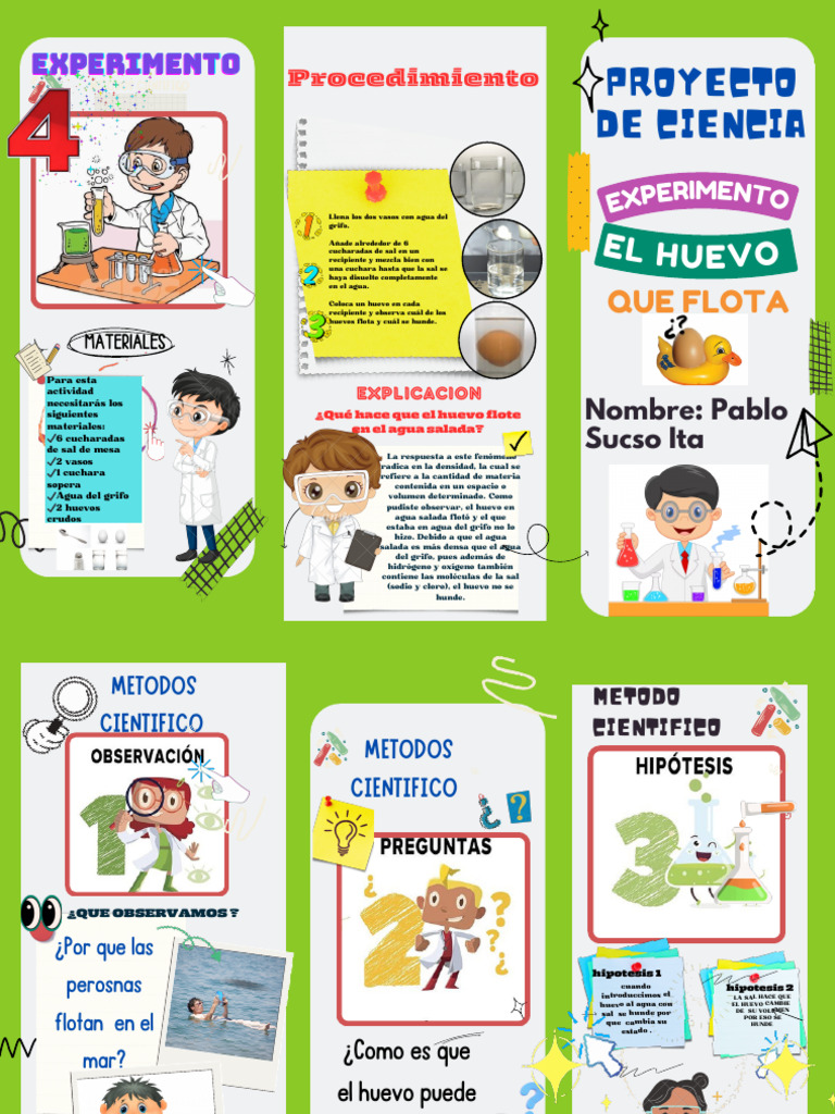 Triptico - Experimento El Huevo Que Se Huende | PDF