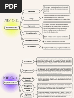 Nif C-11 Presentación | PDF | Compartir (Finanzas) | Contabilidad