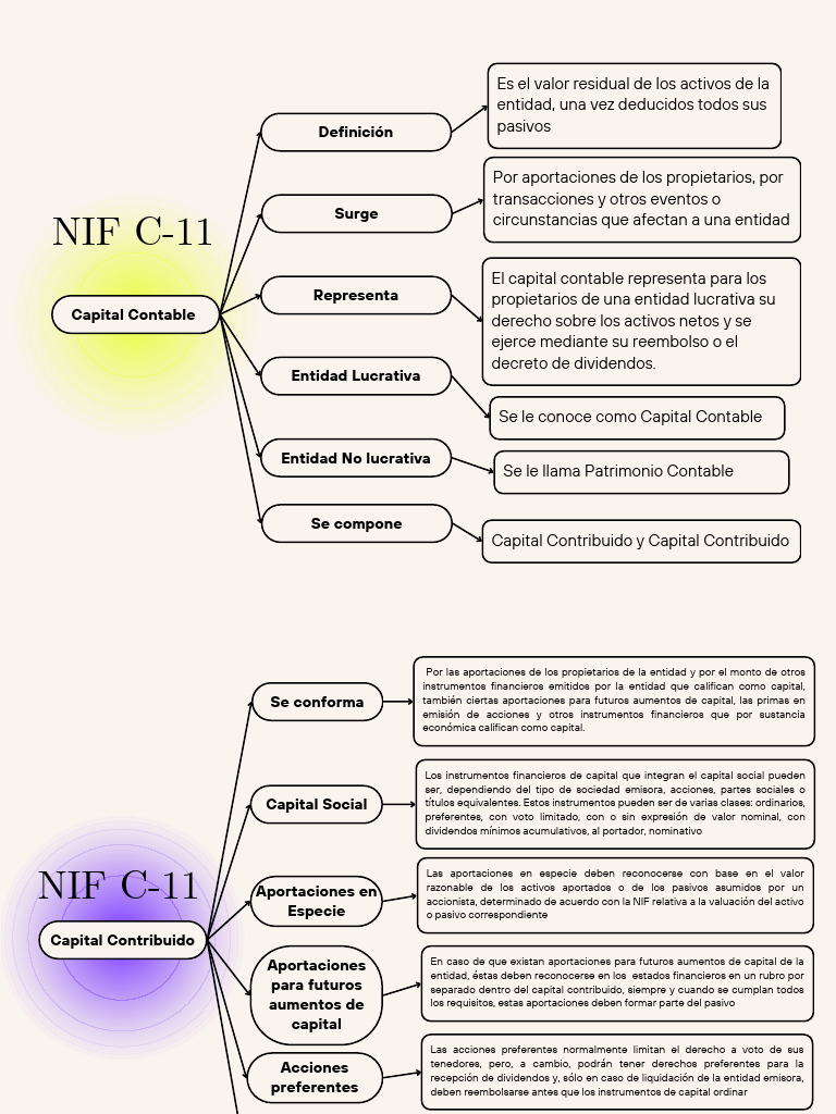 NIF C11 Capital Social | PDF