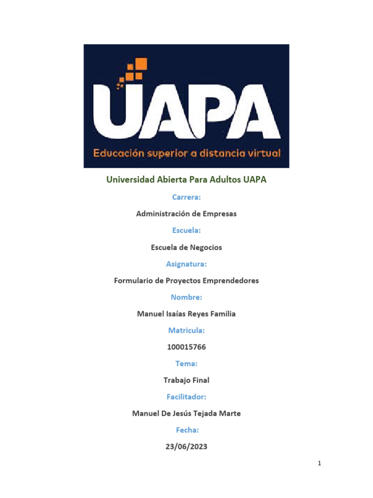 Form de Proyectos Emp Trabajo Final | PDF | Negocios