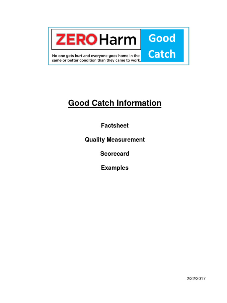 Good Catch Reporting Guidelines | PDF | Occupational Safety And Health ...