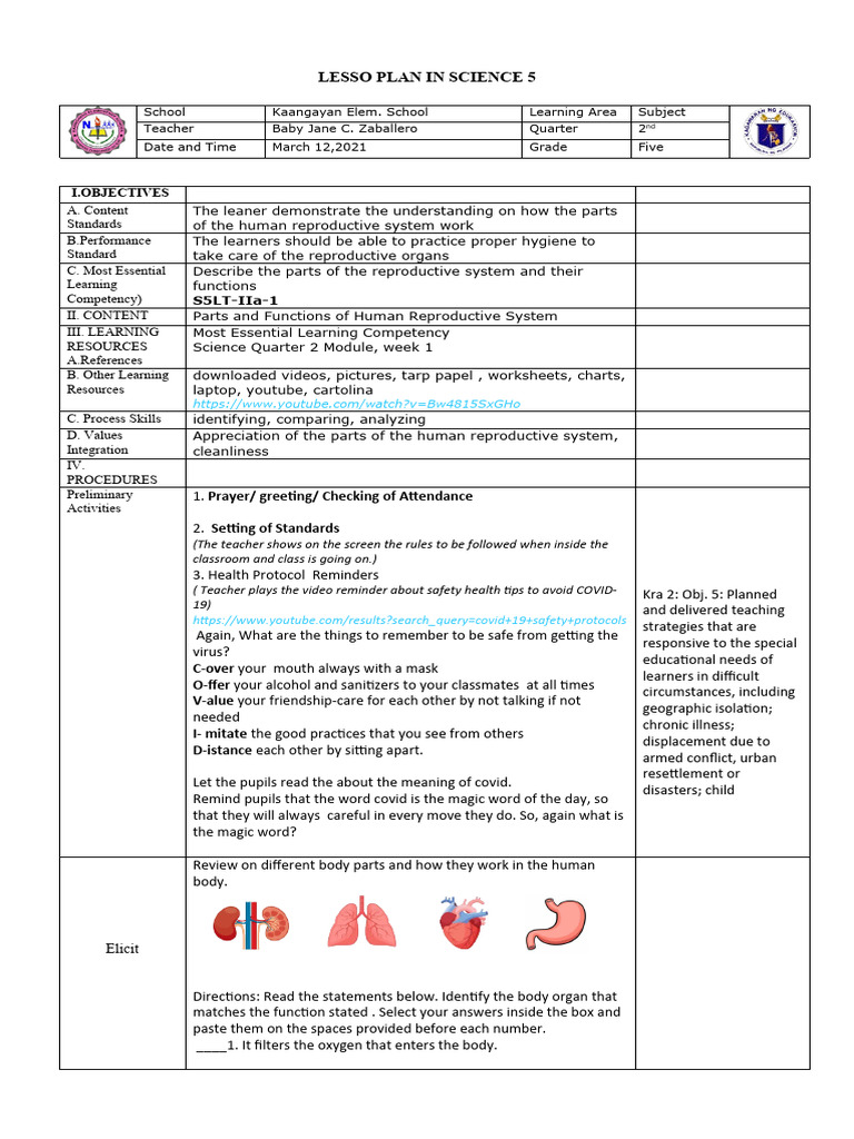 CO Lesson Plan - The Human Reproductive System | PDF