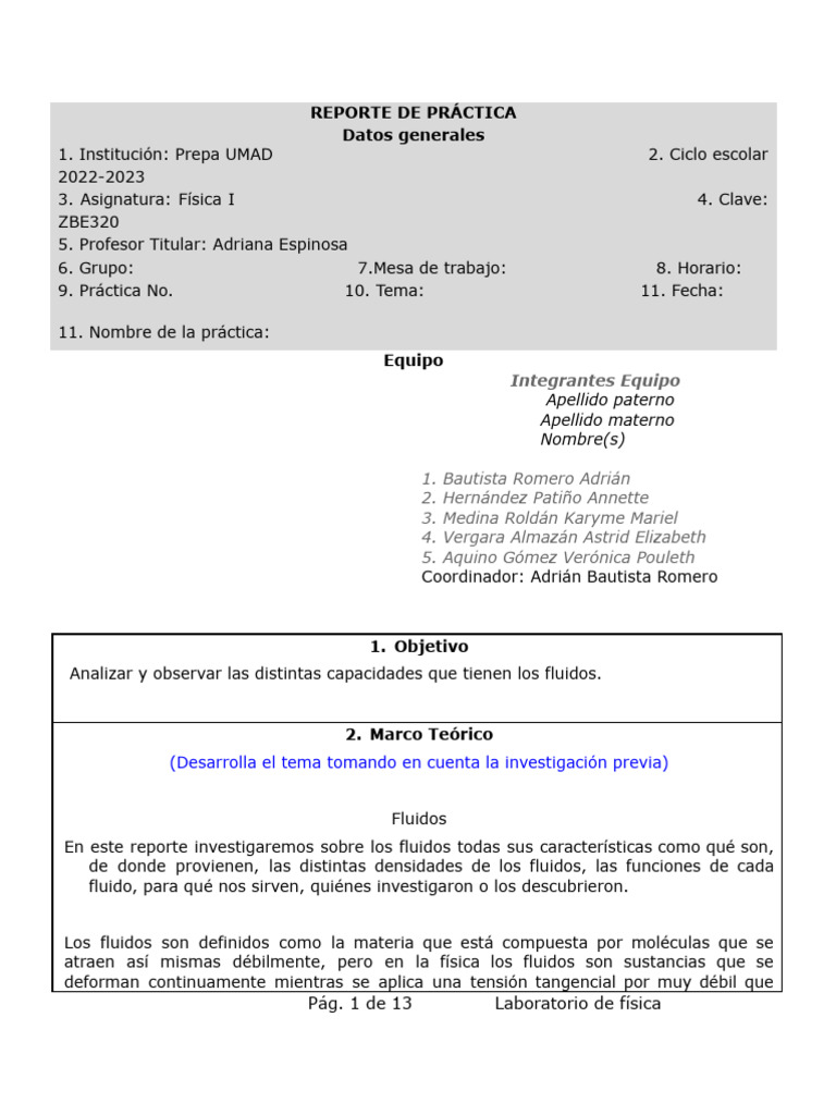 Formato de reporte .docx | PDF