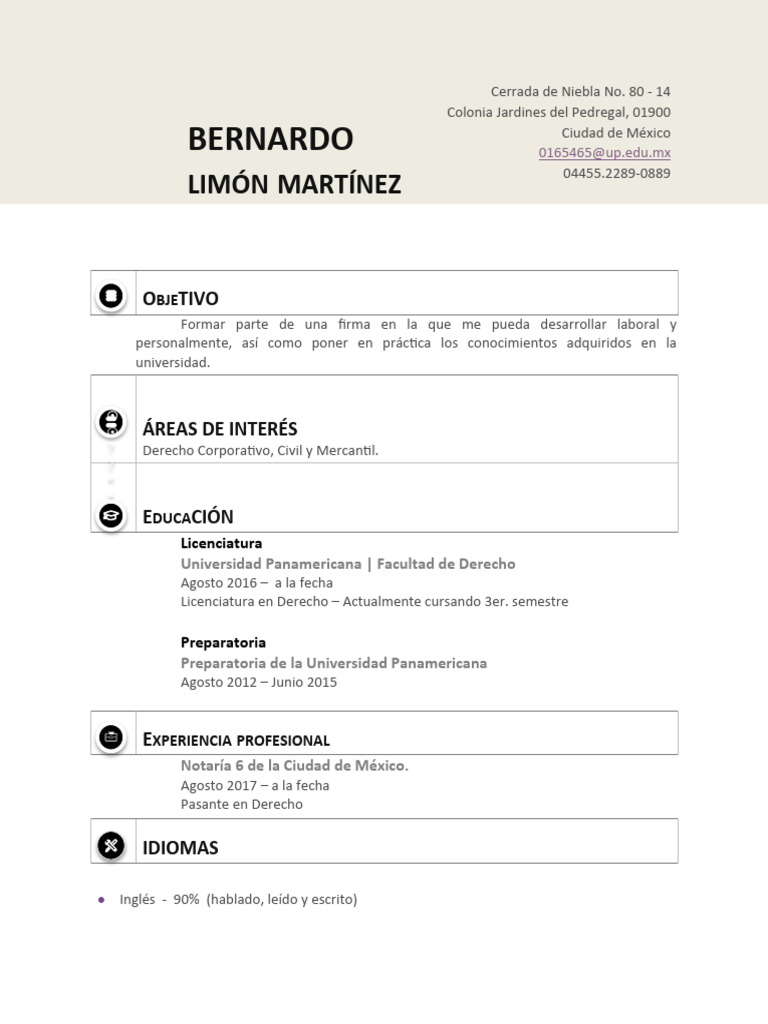 Formato PP CV Alumnos | PDF