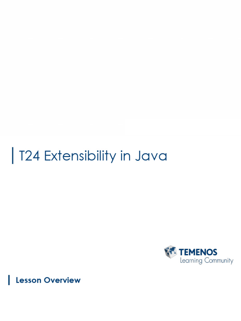 222T24 Extensibility Framework | PDF