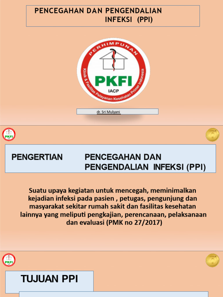 Penerapan PPI Dan EP PPI | PDF