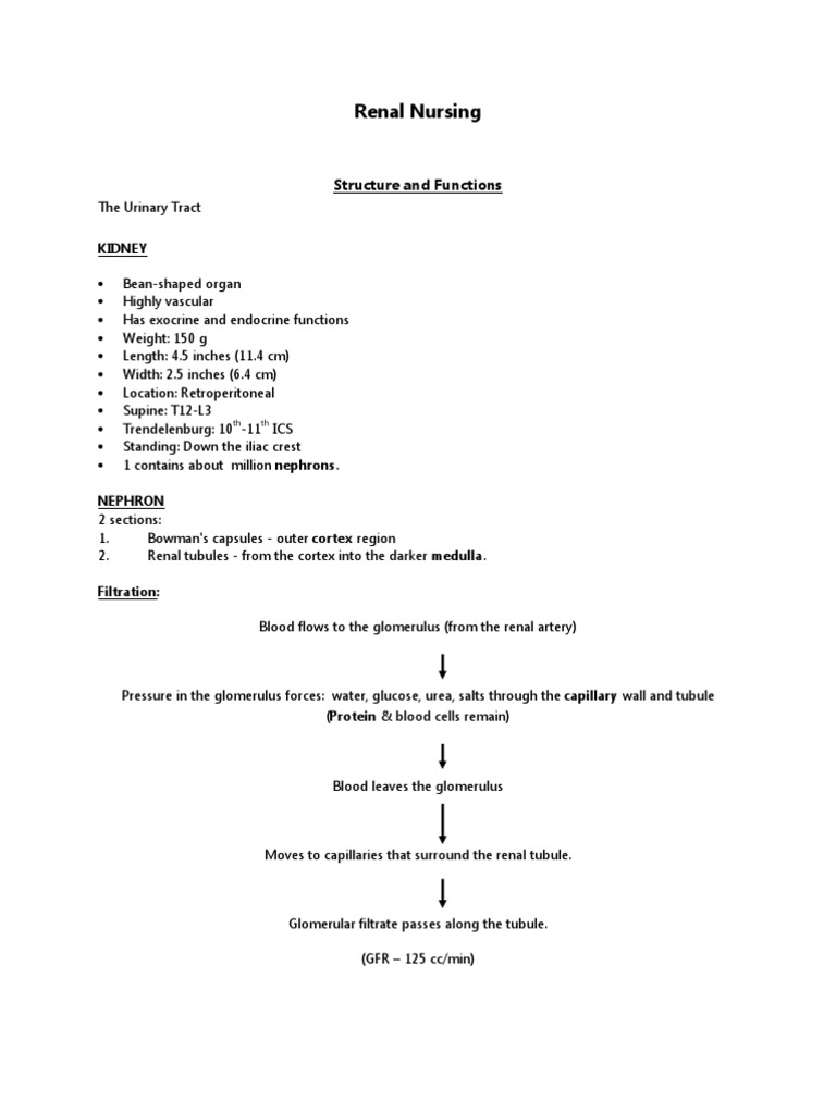 Renal Nursing - Handout | PDF | Urinary Tract Infection | Kidney