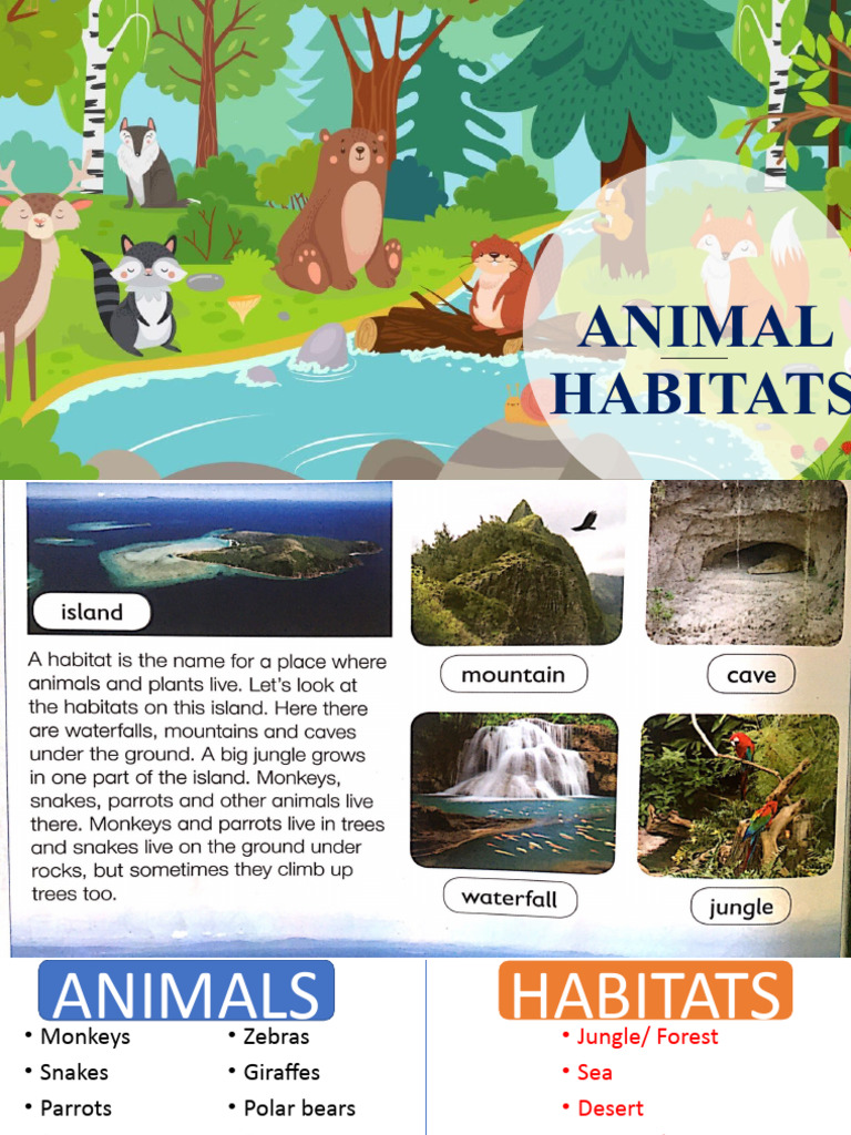 Animal Habitats for Kids | PDF | Home & Garden