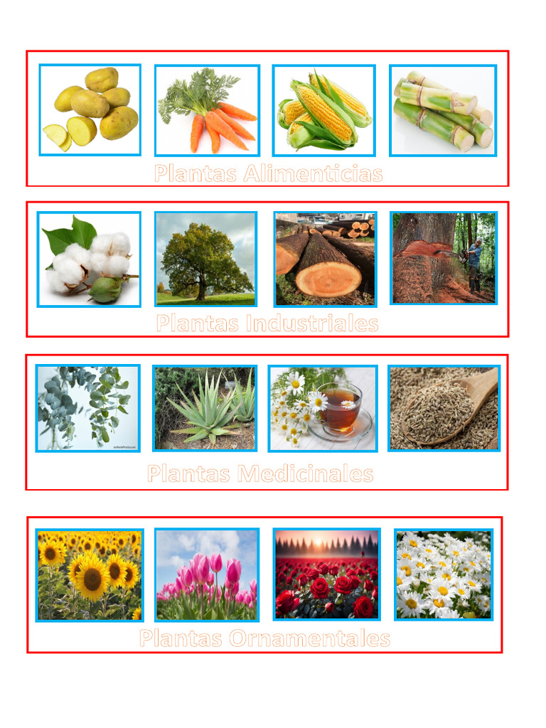 UTILIDADES DE LAS PLANTAS | PDF