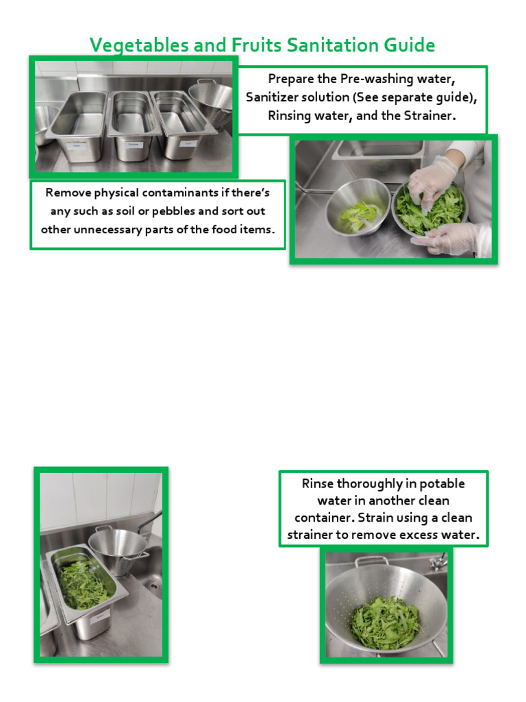 Vegetables and Fruits Sanitation Guide (1) | PDF