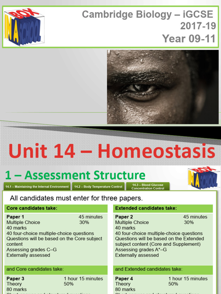 Unit 14 - Homeostasis v2 | PDF