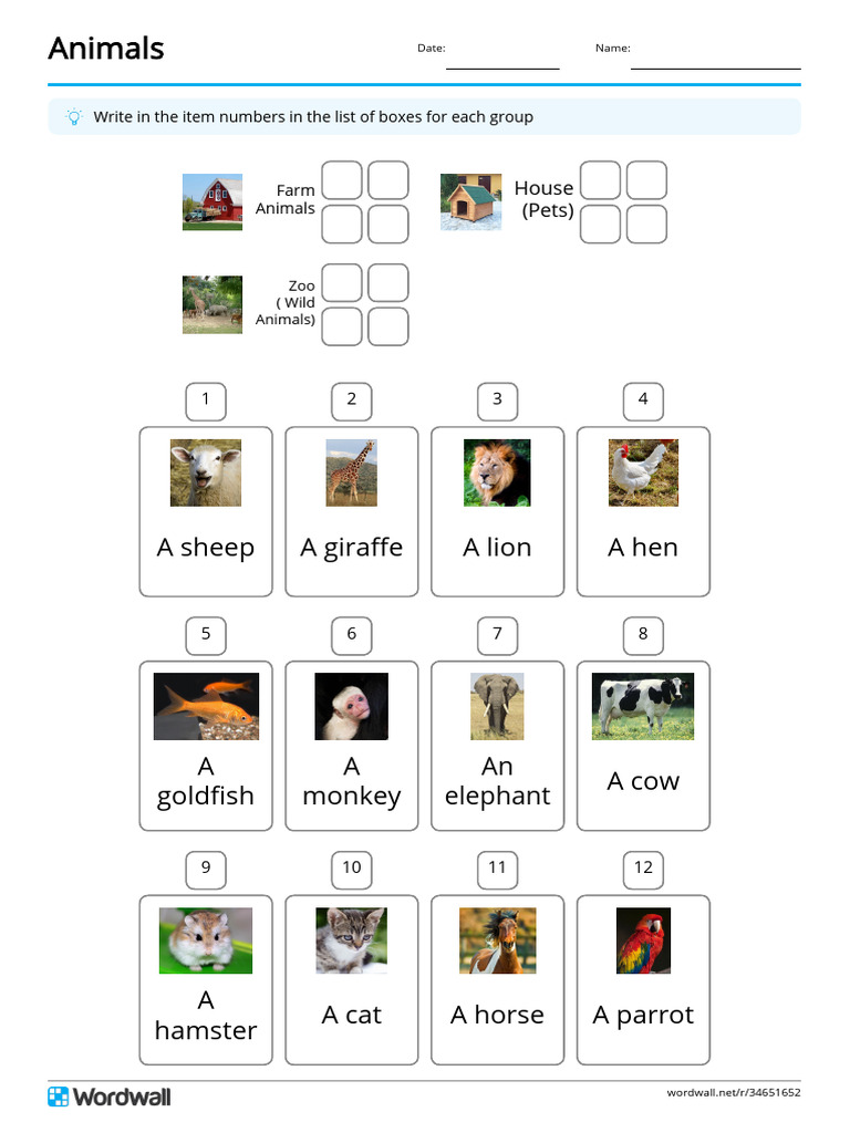 Classify Animals: Farm, Pets, Zoo | PDF