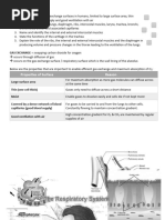 Respiratory System Worksheet | PDF | Lung | Breathing