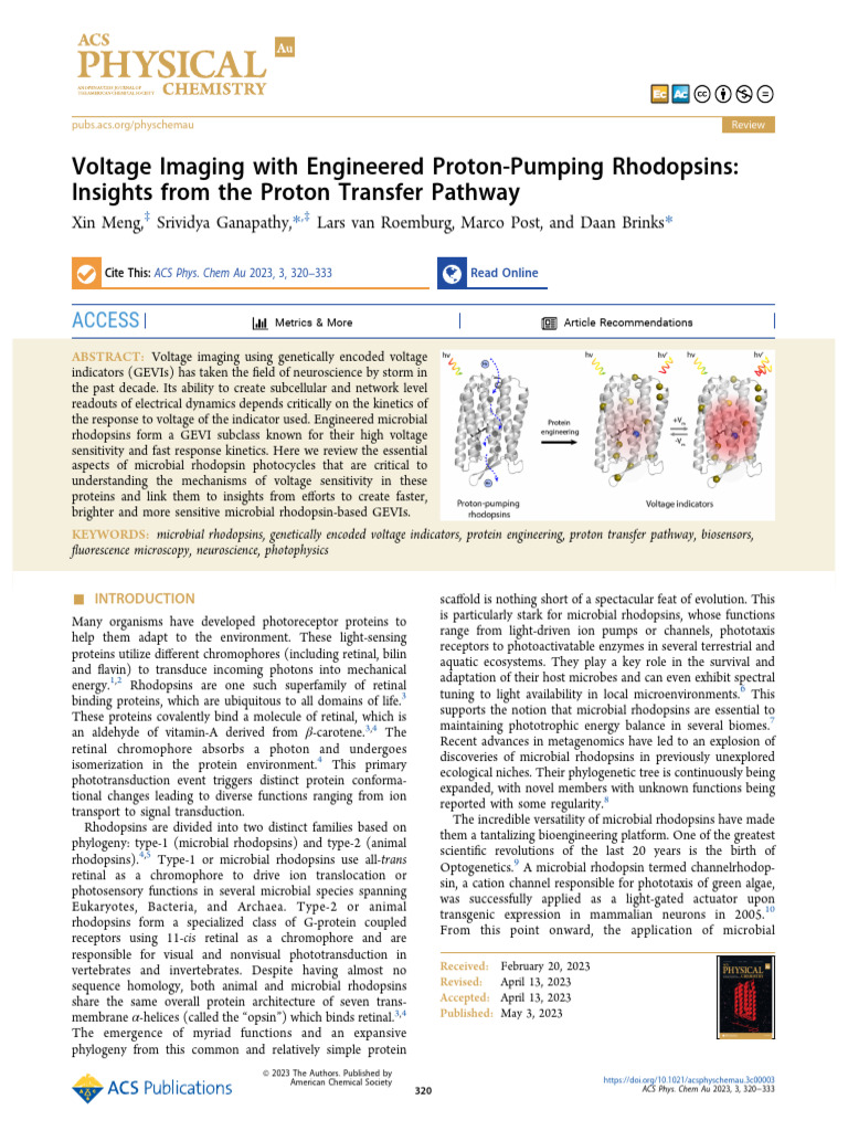 Voltage Imaging With Engineered Proton-Pumping Rho | PDF