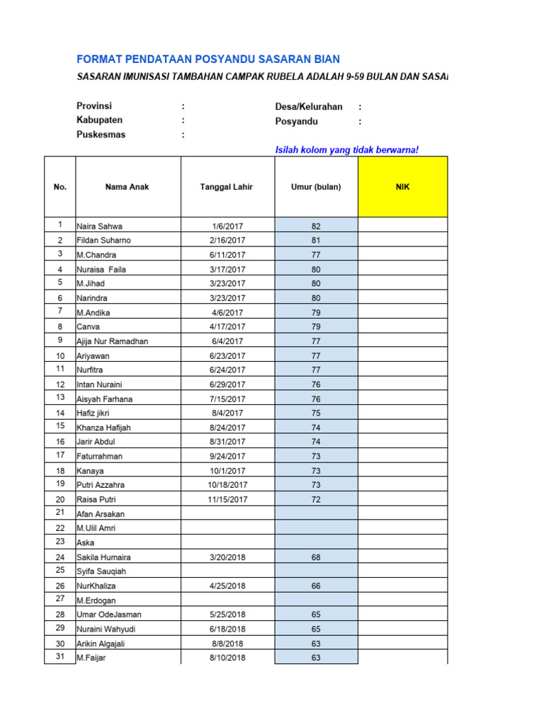 Final - Format Mikroplanning BIAN Puskesmas | PDF