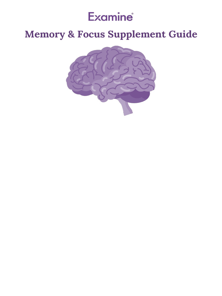 Supplement Guide Memory Focus | PDF | Myelin | Caffeine
