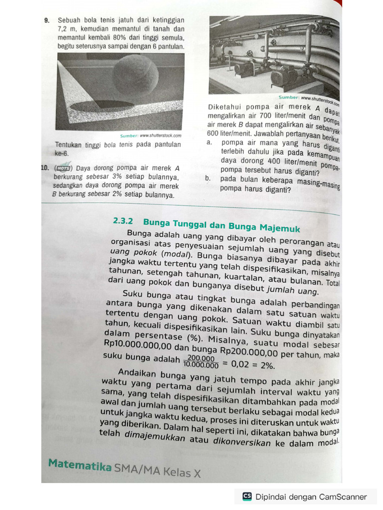 Bunga Tunggal Dan Bunga Majemuk | PDF