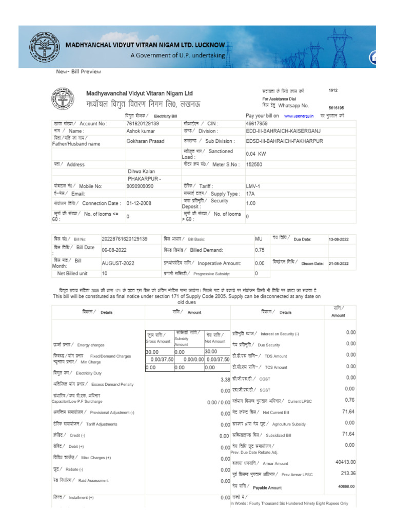 New- Bill Preview | PDF