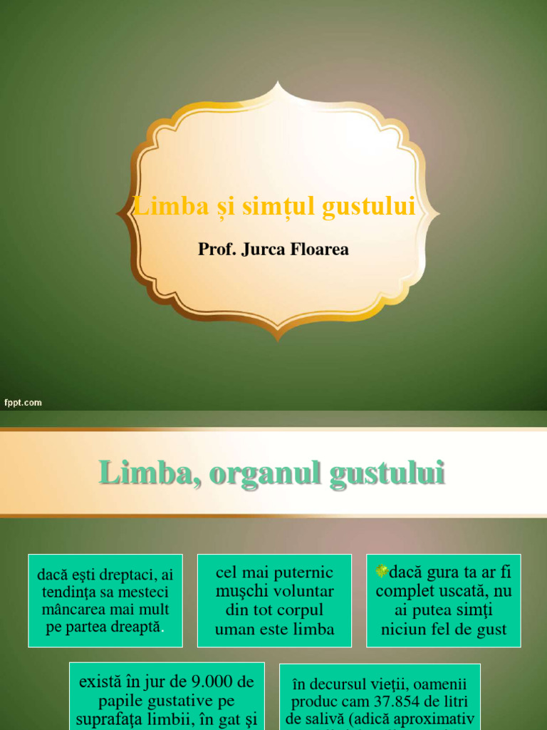 Limba Organul Gustului | PDF