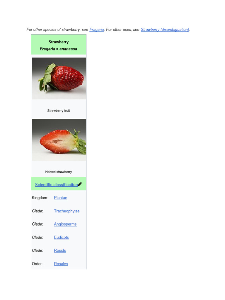 Strawberry | PDF