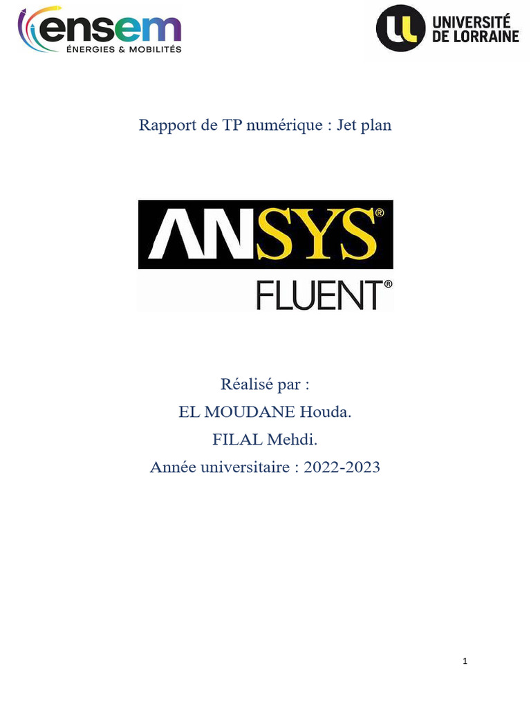 Rapport de TP numérique | PDF